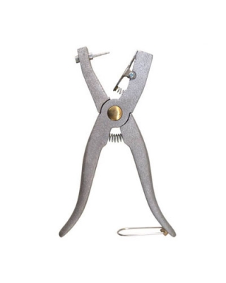 Veterinary Instruments » Cattle Marking